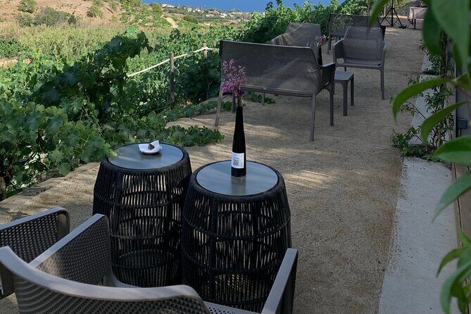 Private Tour with Navigation and Visit to Alella Vineyards - Practical Details: What You Need to Know