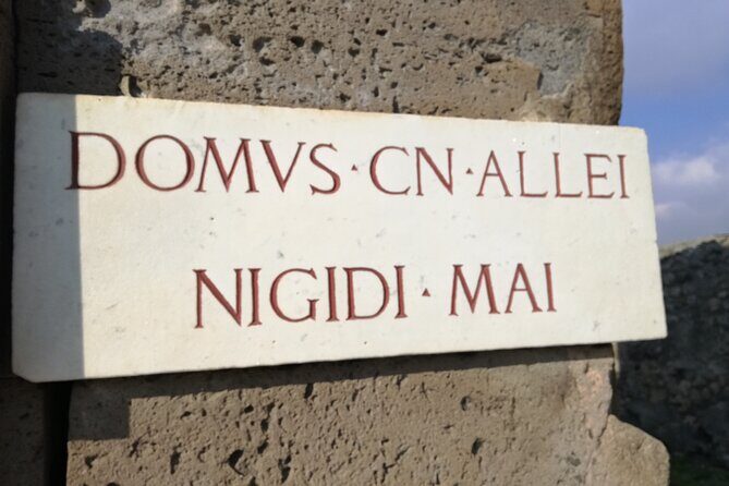 Private Tour with Official Guide through the wonders of Pompeii. - FAQs