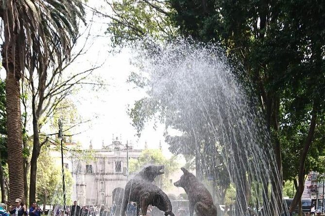 Private Tour: Xochimilco, Coyoacan and Frida Kahlo Museum - Frequently Asked Questions