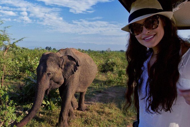 Private Tour: Yala National Park Safari - Key Points