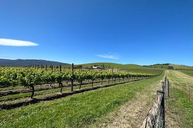 Private Tour: Yarra Valley Wine, Cheese, Bubbles & Chocolaterie - FAQ