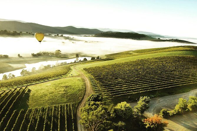 [PRIVATE TOUR] Yarra Valley Winery | Day Tour - FAQ: Practical Questions About This Tour