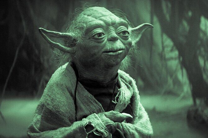 Private Tour Yoda Guy Movie Exhibit and Star Wars Celebrity - Who Will Love This Tour?