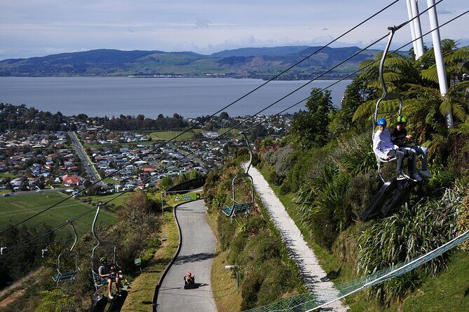 Private Tour Ziplining Forest Adventure from Rotorua - Introduction