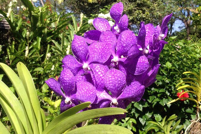 Private Tours - The Itinerary: A Guided Tour with Freedom of Choice