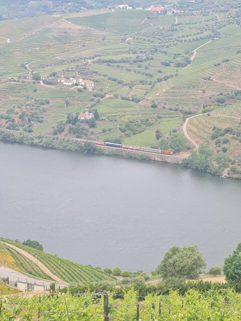 Private tours and transport amazing for you at DOURO Valley - Key Points