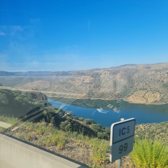 Private tours and transport amazing for you at DOURO Valley - An In-Depth Look at the Tour Experience
