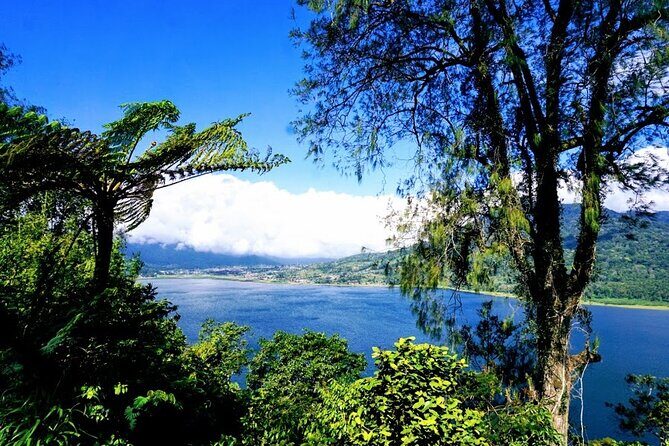 Private Tours Bedugul And Alas Kedaton Monkey Forest - A Closer Look at the Itinerary