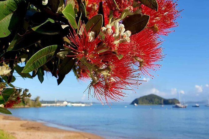 Private Tours in Bay of Islands - What Makes This Tour Stand Out?