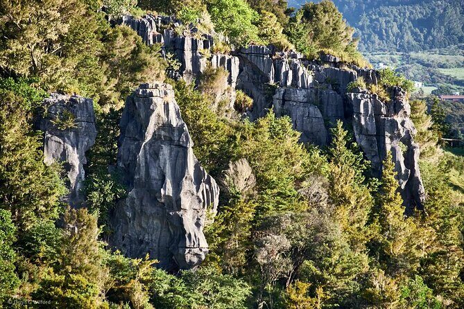 Private Tours in Bay of Islands - Frequently Asked Questions