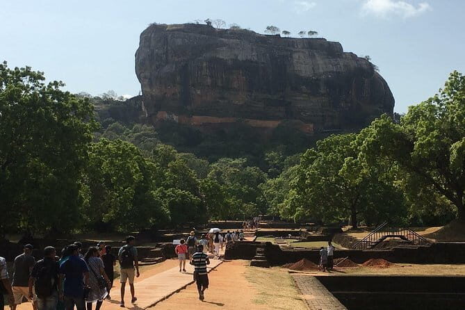 Private tours in Sri Lanka 7 N/8 days for Group of 5-6 people - Why This Tour Offers Value