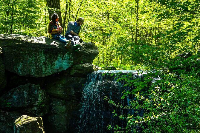 Private Tours of New York City Explore by Foot or Vehicle - Authentic Experiences and Special Highlights