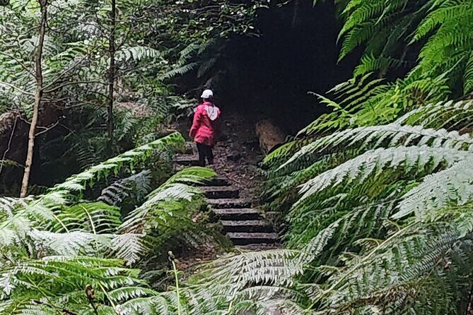 Private tours: Sydney, surrounds, and Blue Mountains. - FAQ