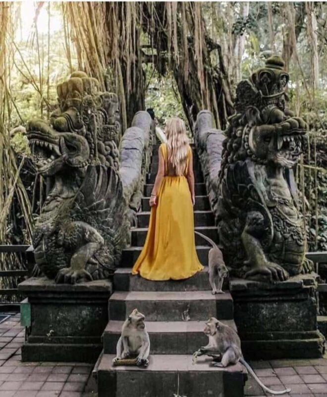 Private Tours: Tegallalang With Monkey Forest And Water Fall - Key Points