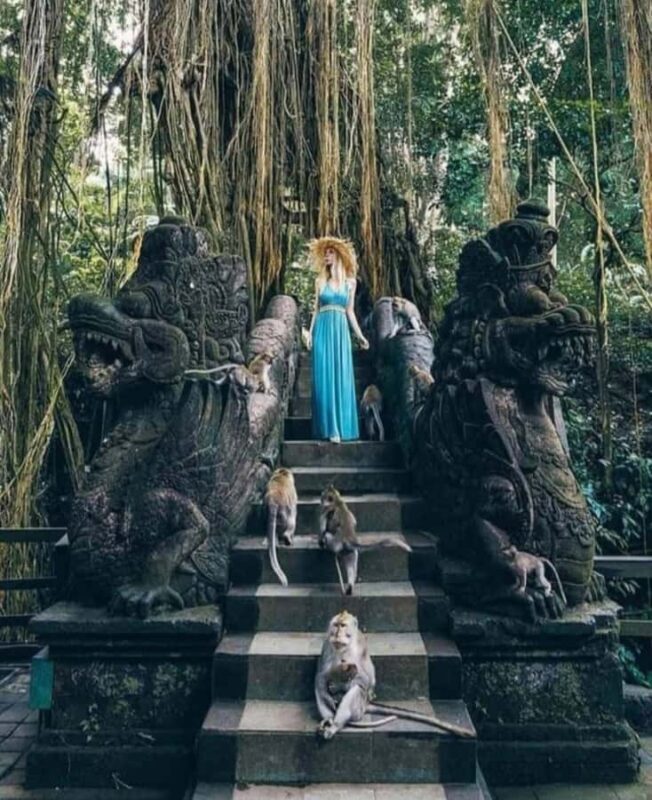 Private Tours: Tegallalang With Monkey Forest And Water Fall - The Value of a Private Tour