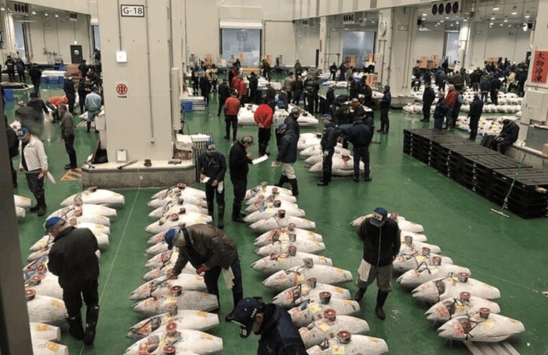 Private Toyosu & Tsukiji Market Adventure with Tuna Auction - Transportation & Practical Tips
