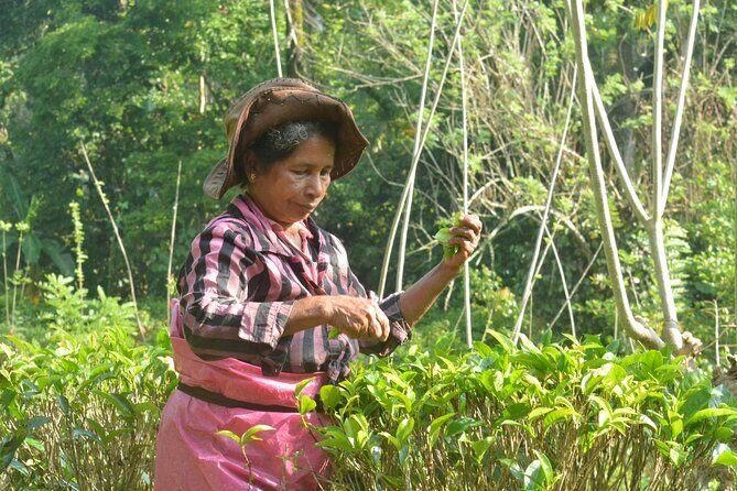 Private Traditional Sri Lankan Village Food Trail - FAQ