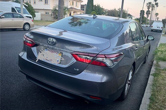 Private Transfer Anaheim Resort From or To Los Angeles - What to Expect from Your Private Transfer