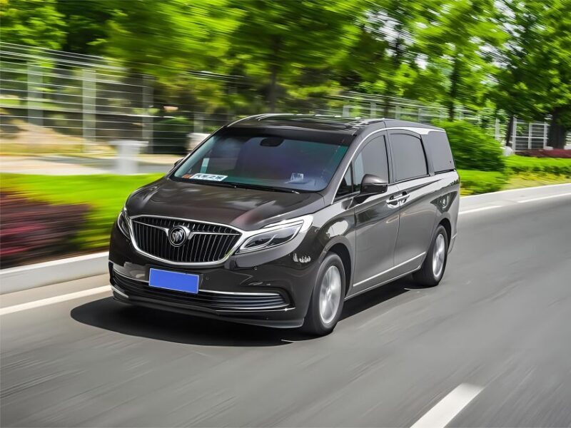 Private Transfer: between Downtown Paris and Disney - Who Will Love This Service?