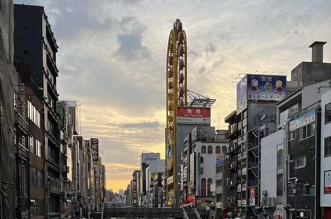 Private Transfer Between Osaka City Center and Kansai Airport KIX - Who Will Love This Service?