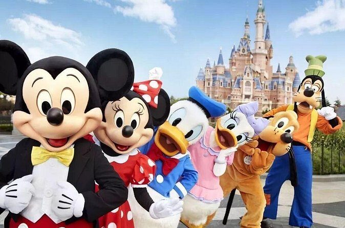 Private Transfer between Shanghai Disneyland and Pudong International Airport - Who Should Consider This Transfer?