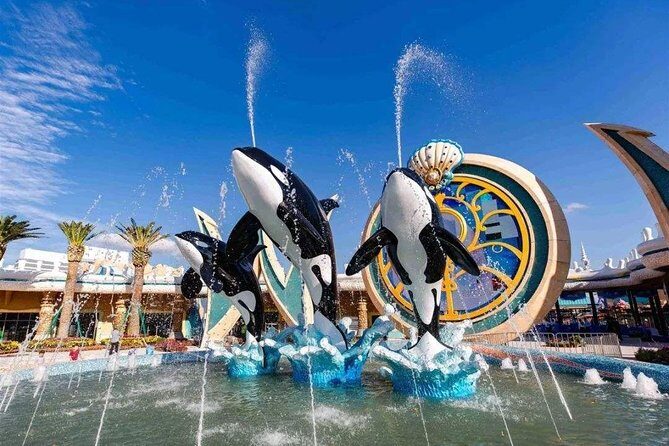 Private Transfer between Shanghai Haichang Ocean Park and City Center - Key Points