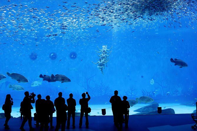 Private Transfer between Shanghai Haichang Ocean Park and City Center - Who Should Consider This Tour?