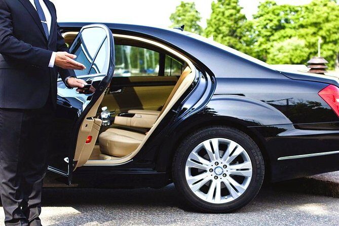 Private Transfer between Shanghai Zoo and City Hotels - Who Should Book This Tour?