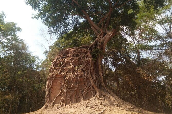 Private transfer by Car & Minivan from Siem Reap to Phnom Penh - Detailed Breakdown of the Experience