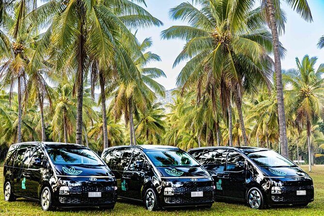 PRIVATE TRANSFER Cairns Airport  Port Douglas Minibus (6am-5pm) - Who Will Benefit Most?