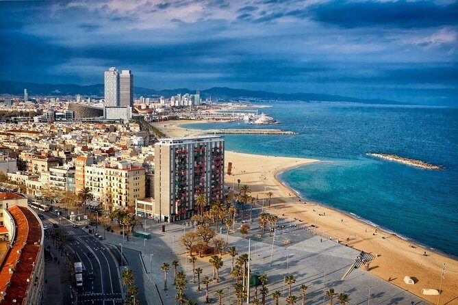 Private Transfer: Cruise Port to Barcelona by Luxury Van - The Driver and Service Quality