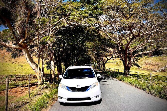Private Transfer Fajardo or Ceiba to San Juan Airport - The Sum Up