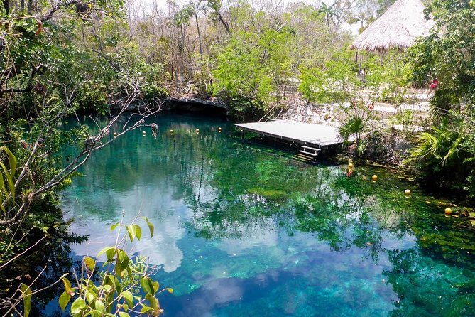 Private transfer for 5 hours (go dinner,cenotes, shopping and more) - Key Points
