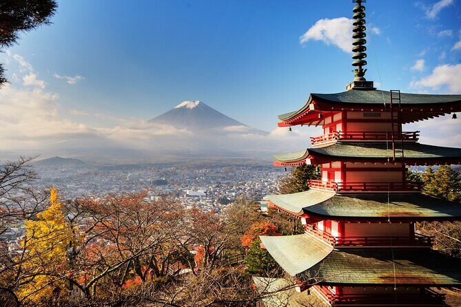 Private Transfer for Custom Day Tour in Tokyo - An In-Depth Look at Your Day in Tokyo