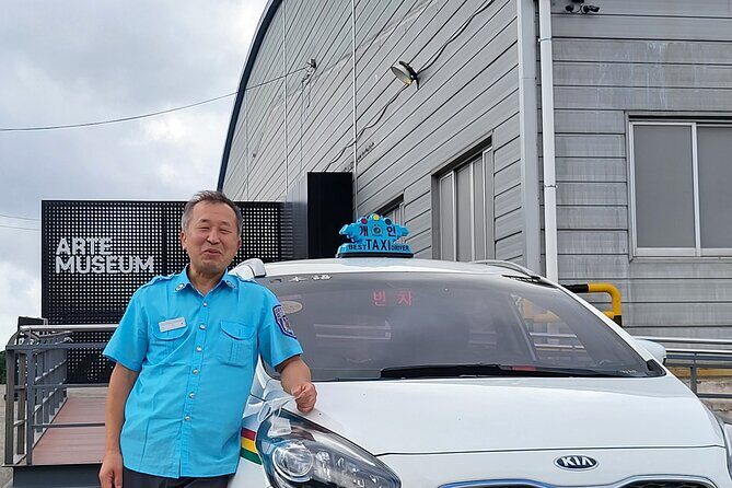 Private Transfer From Airport to Downtown jeju city (Two way ) - Who is This Service Best For?