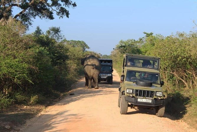 Private Transfer from Ambalangoda to Mattala Sri Lanka (HRI) Airport - Authentic Feedback and What It Means for You
