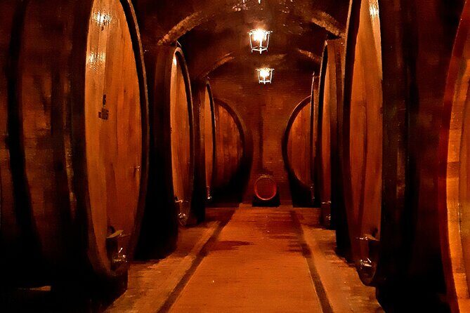 PRIVATE TRANSFER: from Assisi to Florence with stops in Cortona & Montepulciano - Who Should Consider This Tour?