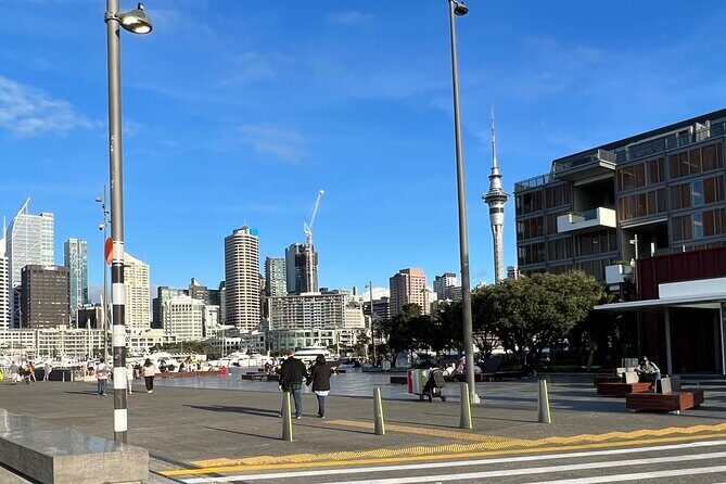 Private Transfer From Auckland Airport Oaks To Auckland City - The Journey and What to Expect
