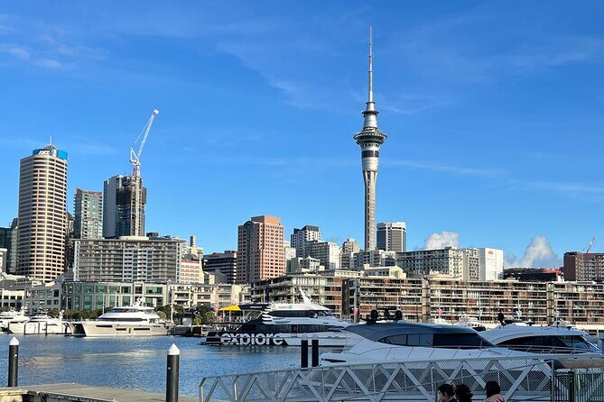Private Transfer From Auckland Airport Oaks To Auckland City - Why Choose This Service?