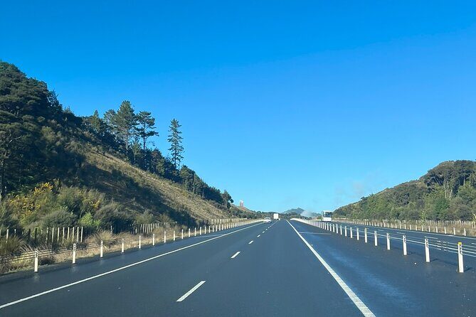 Private Transfer From Auckland Airport To Coromandel - Why This Transfer Is Worth Considering