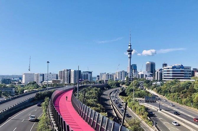 Private Transfer From Auckland CBD Hotels To Cruise Ship - Breakdown of the Experience