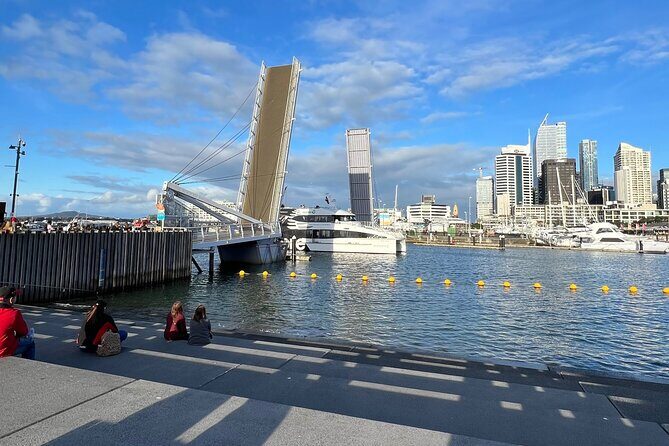 Private Transfer From Auckland Domestic Airport To Auckland City - Authentic Passenger Experiences