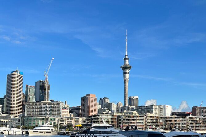 Private Transfer From Auckland Domestic Airport To Auckland City - The Sum Up