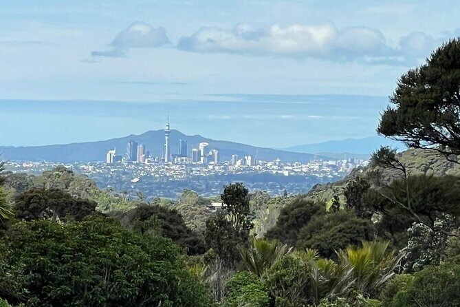 Private Transfer From Auckland International Airport To Auckland City - The Drivers: Knowledgeable and Friendly