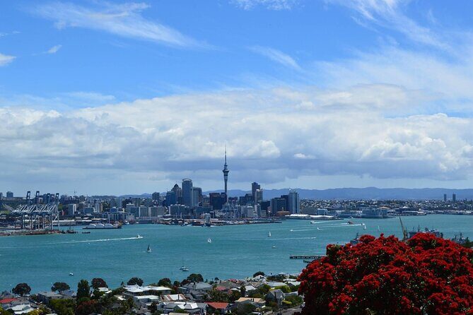 Private Transfer From Auckland International Airport To Auckland City - Cancellation Policy and Peace of Mind
