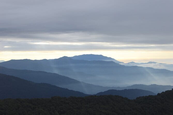 Private Transfer from Bagdogra to Gangtok - Who Will Benefit Most?