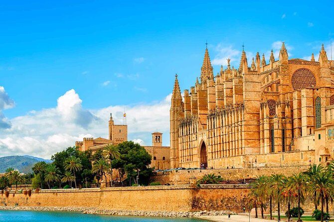 Private Transfer from Can Picafort to Mallorca airport (PMI) - Why This Private Transfer Stands Out