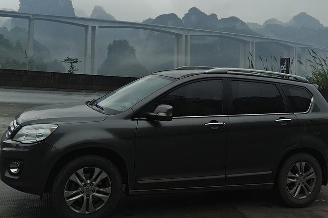 Private Transfer from Chengdu to Mount Emei and Stops at Leshan Giant Buddha - Key Points