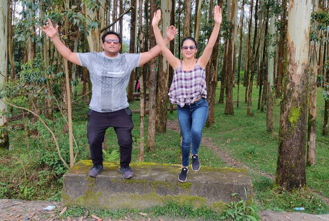 Private Transfer from Cochin to Marari: Relaxed & Convenient Ride - How Is the Service Structured?