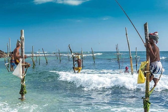 Private transfer from Colombo Airport to Bentota Hikkaduwa Galle - Pricing and Value